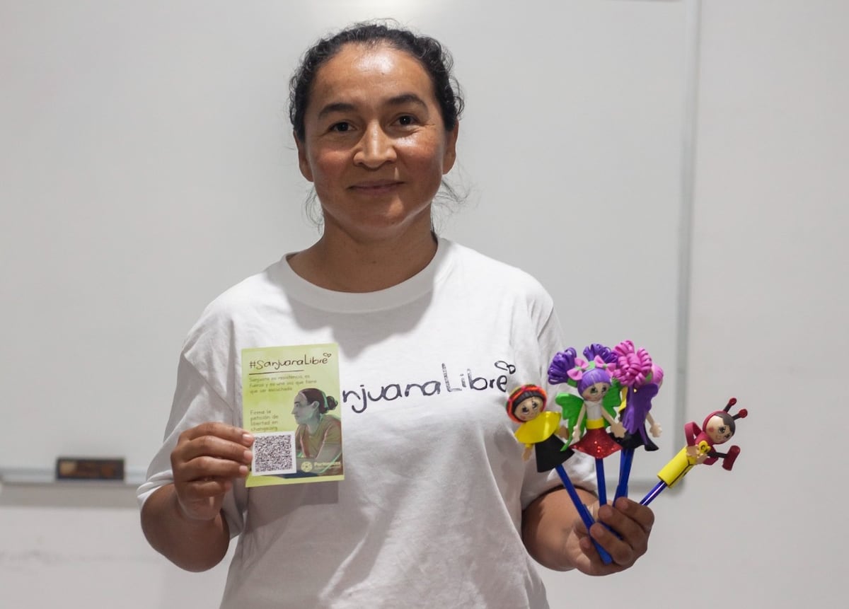 Sanjuana Maldonado: El Congreso de San Luis Potosí indulta a una estudiante que lleva 15 años ...