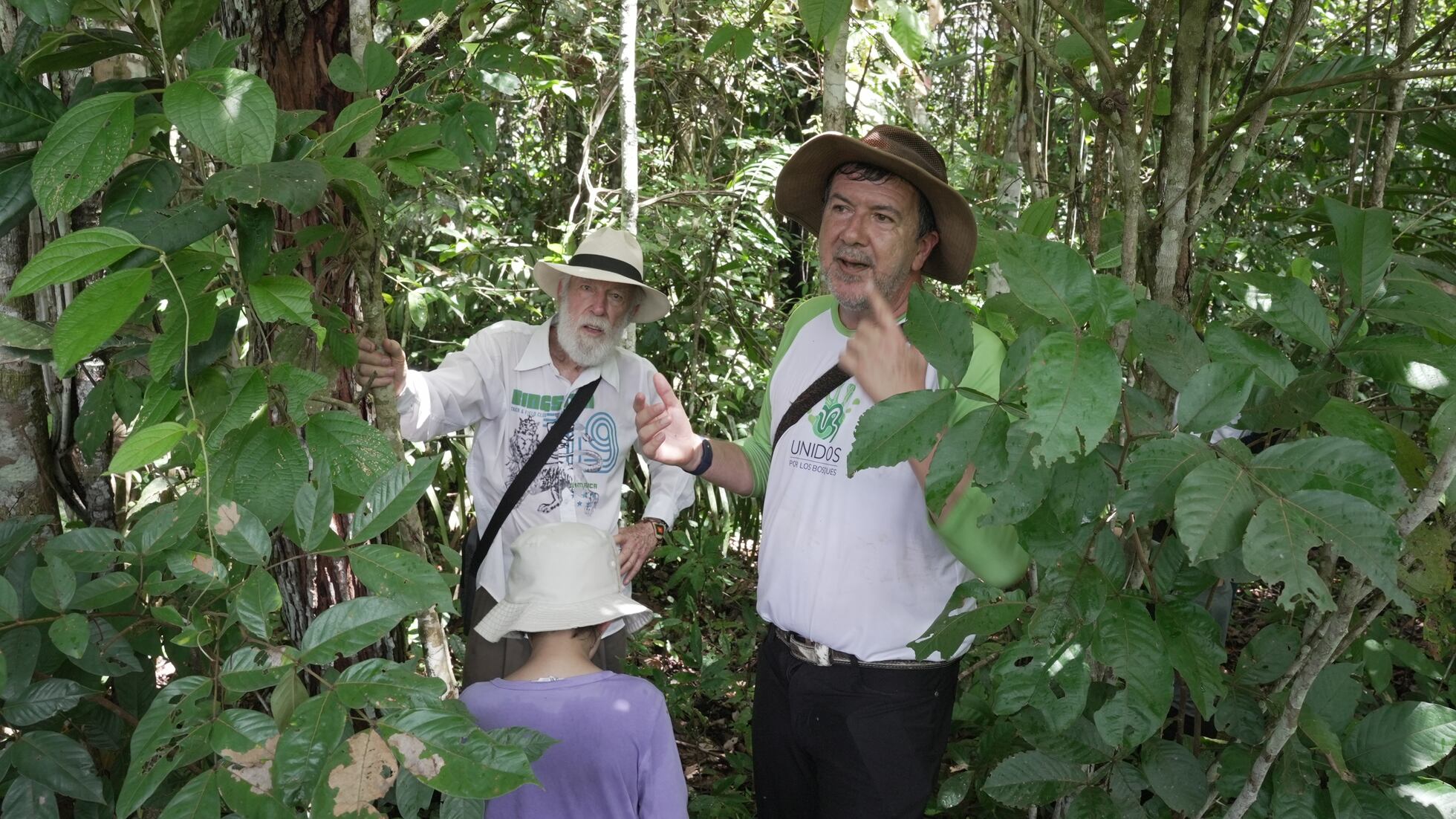 Rodrigo Botero: el escudero de Chiribiquete | Los nuevos líderes de ...