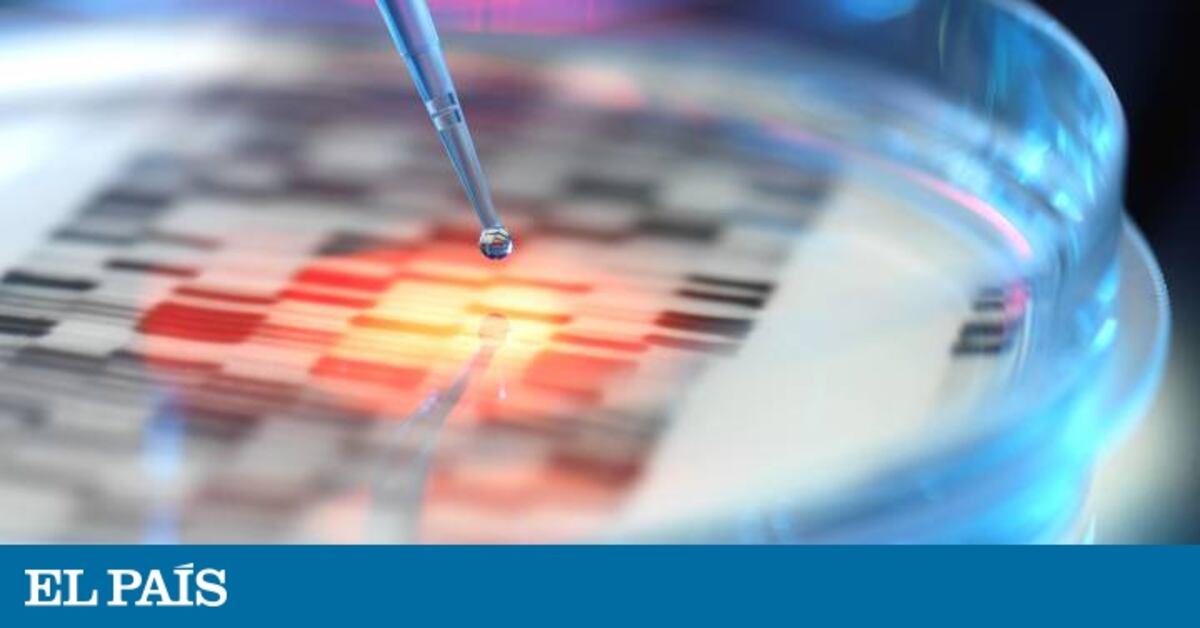 Descoberta uma nova síndrome genética que predispõe ao câncer | Ciência ...