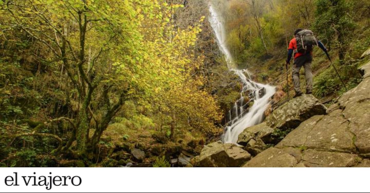Otoño de bosque y forja en los Oscos | El Viajero | EL PAÍS