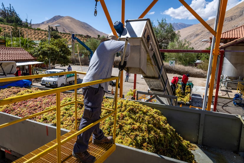 En el corazón del Valle del Elqui y Huasco, la cuna del pisco chileno ...