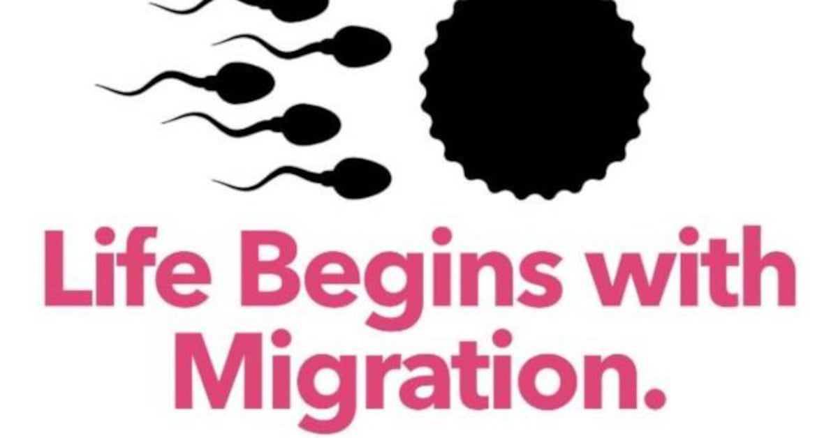 Inmigración y xenofobia: Manual para reemplazar el discurso del odio ...