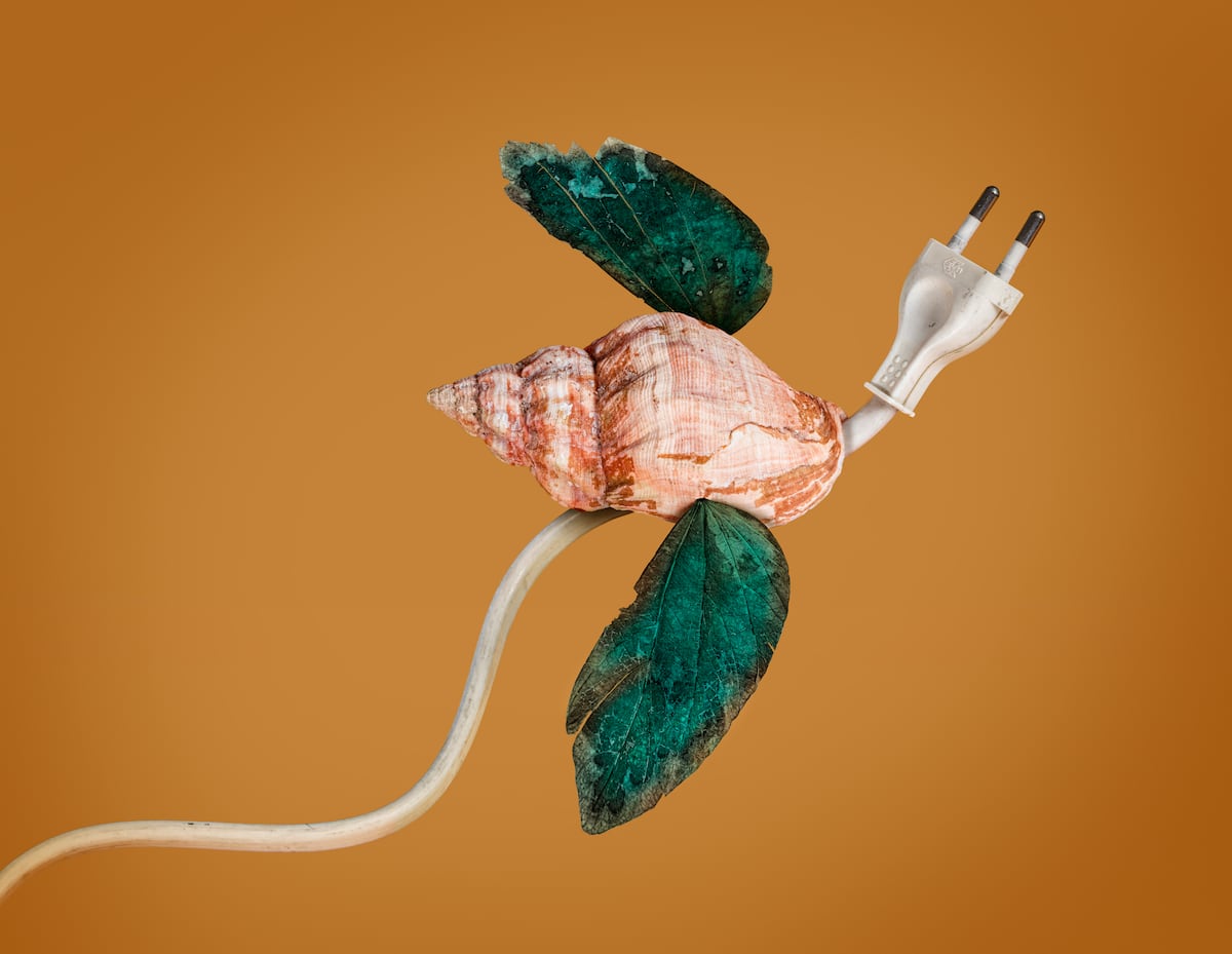 The eureka moment: The best ideas appear when you disconnect | Society ...