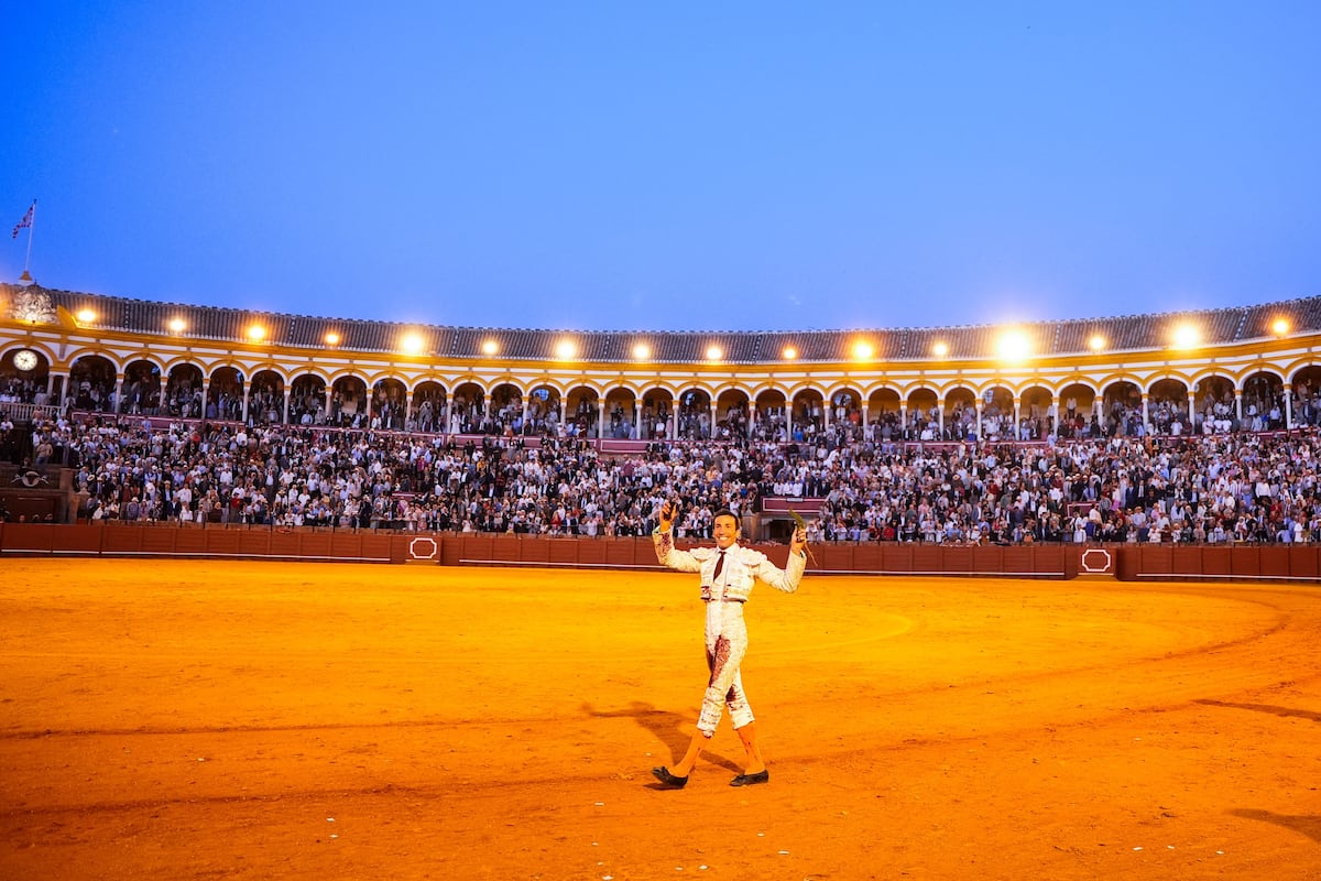 El toro, por los cuernos: David de Miranda, torero valiente y artista ...