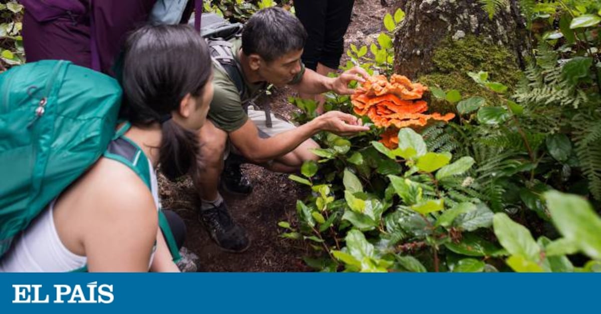 Escuelas para abordar la crisis climática | Noticias de actualidad | EL ...