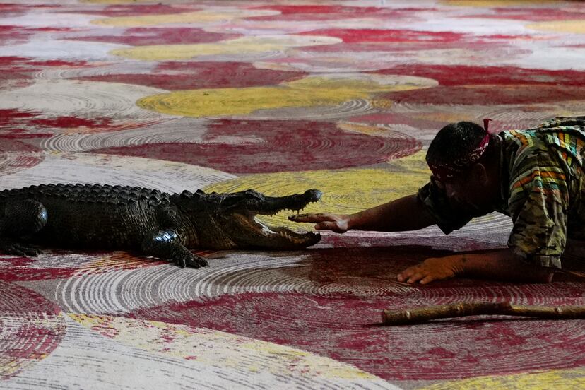 Alligator kills 85-year-old Florida woman as she walked dog | U.S. | EL ...