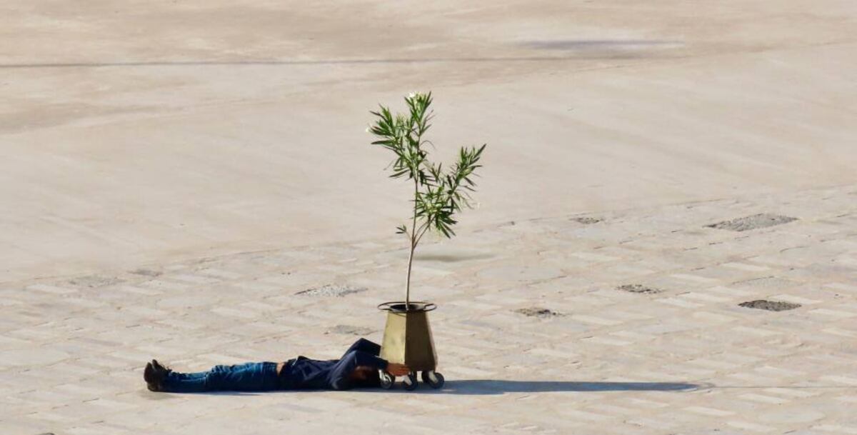 El Bionic Festival une danza experimental con árboles | Alterconsumismo ...