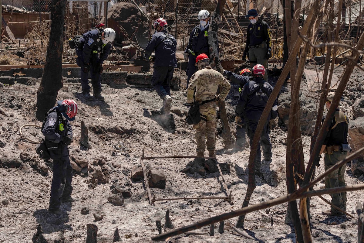 Maui police chief pleads for patience, recalls pain of victim IDs after ...