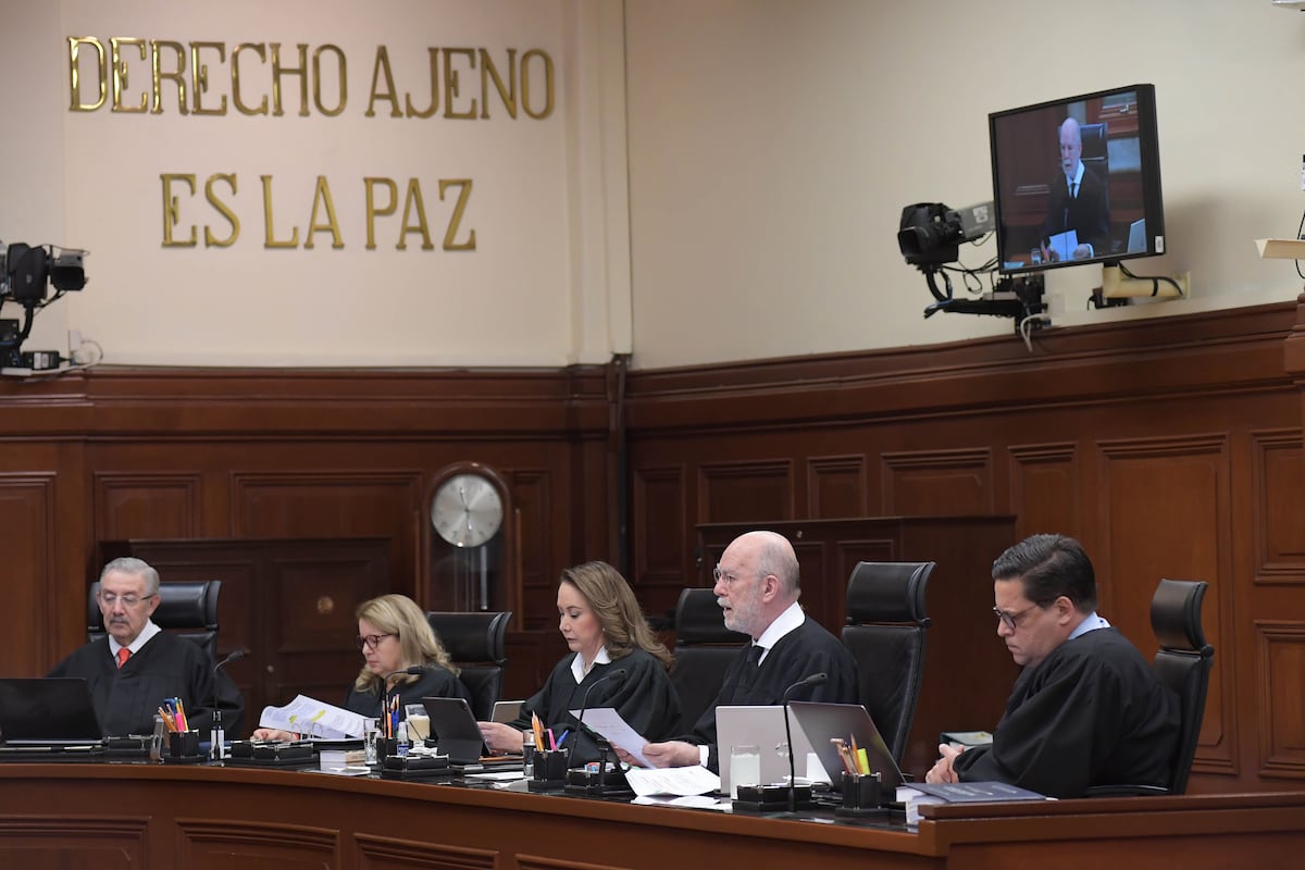 Reforma judicial: Avanza la reforma judicial: abiertas las listas para ...