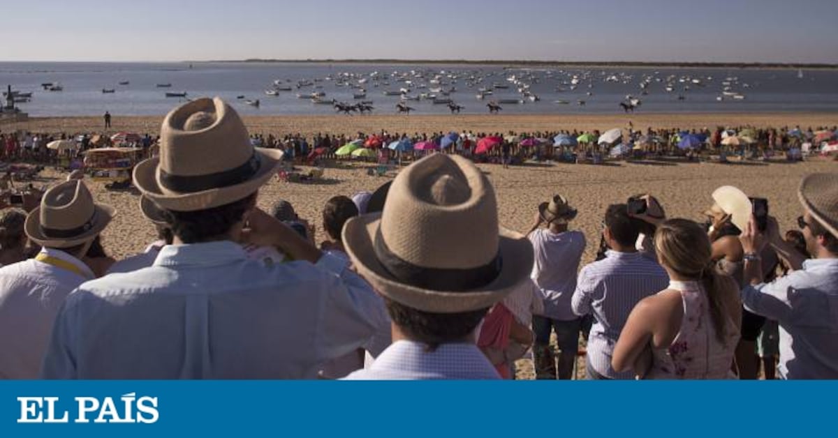 Spain's growing wealth gap: A tale of two Spains | Life in Spain | EL ...