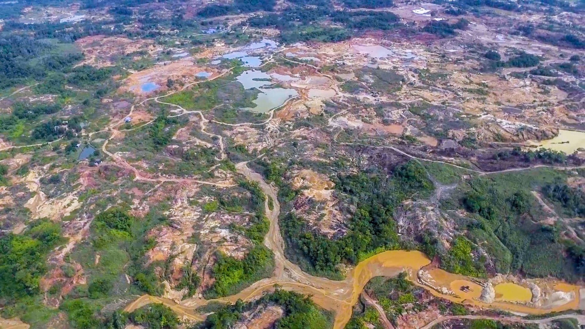 Los mapas que revelan cómo la minería y la palma le han comido terreno ...