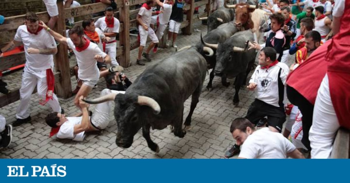 Running of the bulls: Fast run at third Running of the Bulls, as one ...