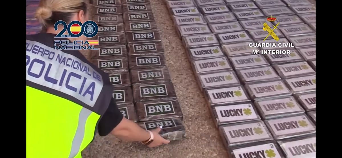 De la ropa sucia, al restaurante: cae una red que importaba cocaína a ...