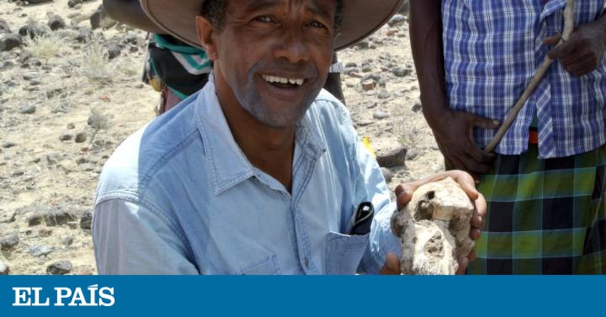 El rostro del homínido que se acostumbró a caminar erguido | Ciencia ...