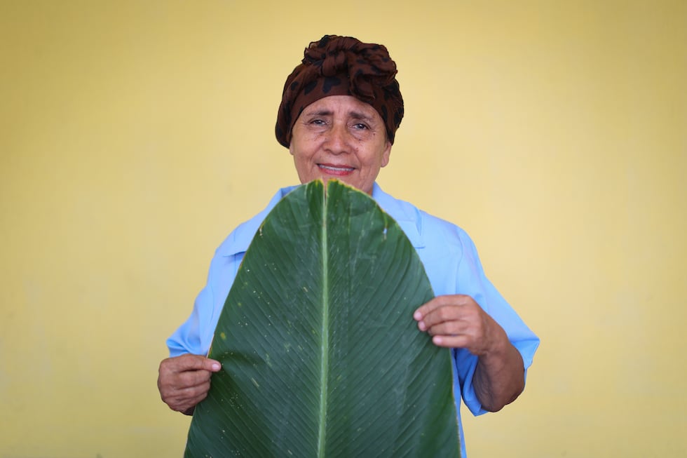 Del plátano hasta el bijao, Colombia envuelve sus mejores platos en 136 ...