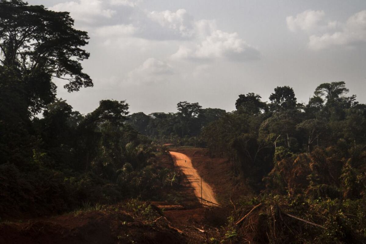 Los ‘baka’ quieren volver a casa | Fotos | Planeta Futuro | EL PAÍS