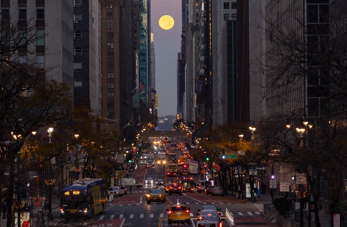 Luna De Castor Cómo Y Cuándo Ver La Luna Llena Que Despide Noviembre
