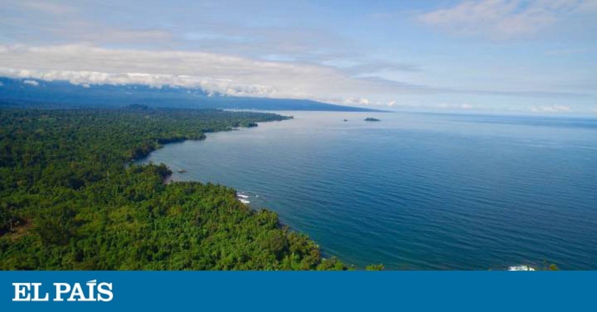 Guinea Ecuatorial, una nueva mirada a la sostenibilidad de los recursos ...