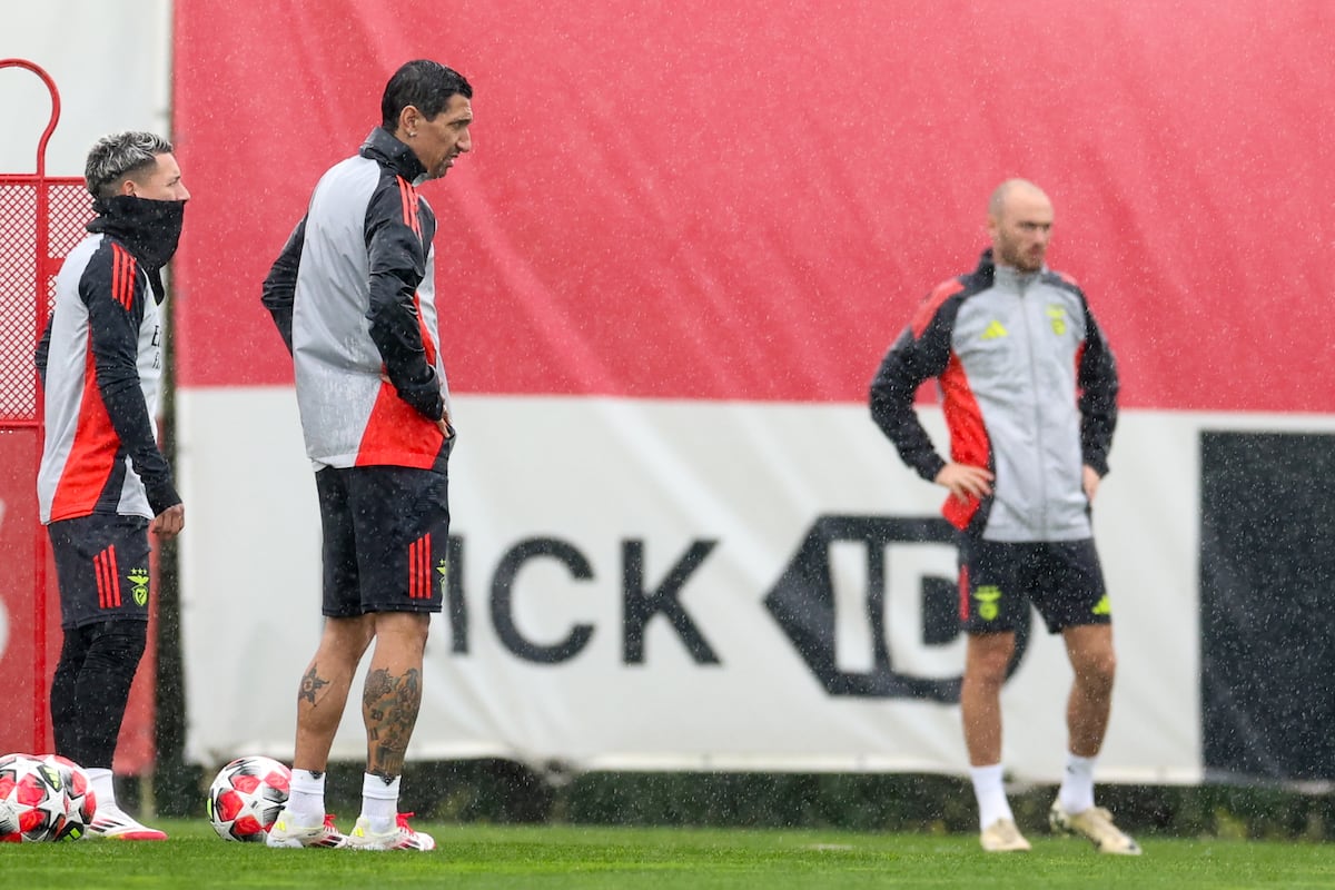 Benfica, la felicidad de Di María | Fútbol | Deportes | EL PAÍS