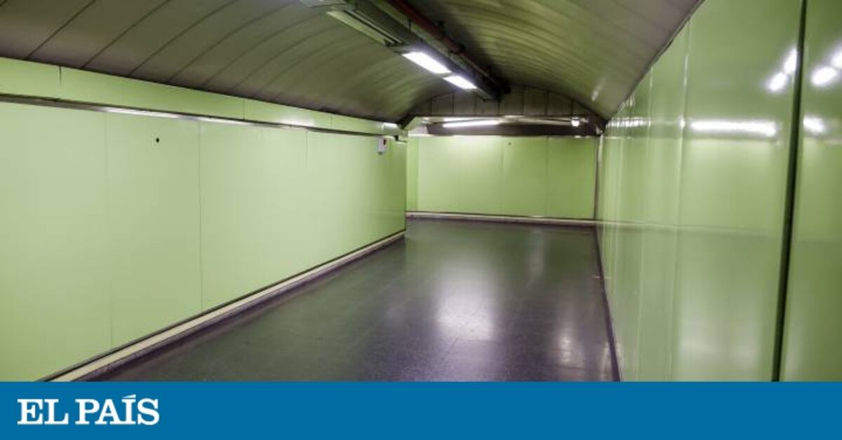 La jirafa que pastaba | Noticias de Madrid | EL PAÍS