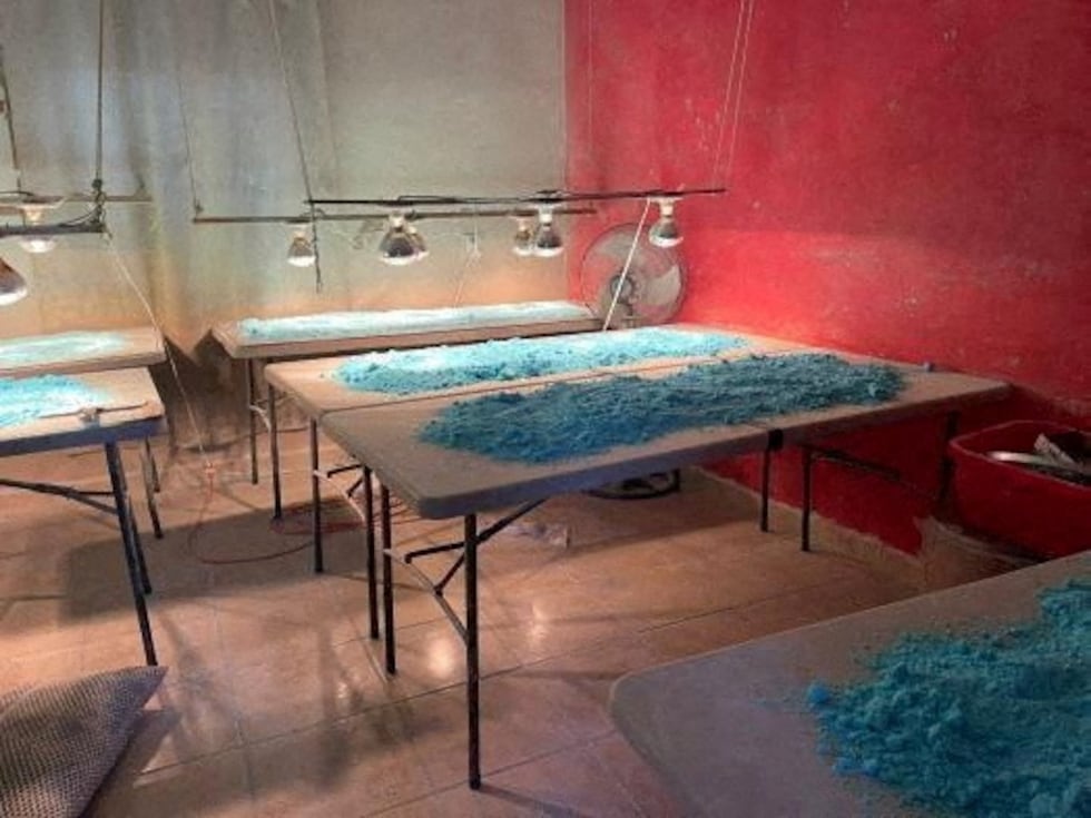 Fentanyl: What is it, what are its effects, how is it consumed and how ...