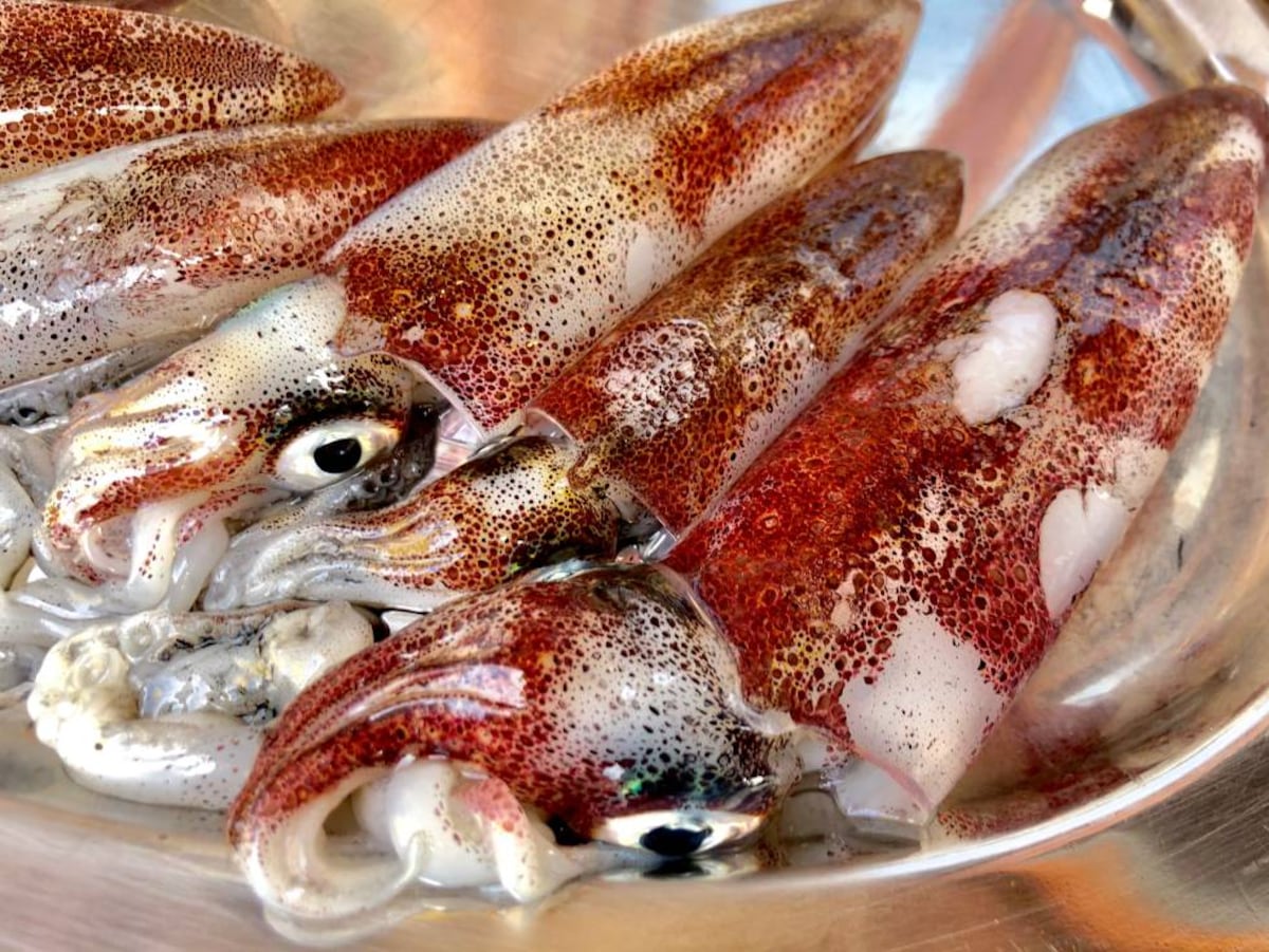 Los chipirones son cosa del verano | Gastronotas de Capel | EL PAÍS