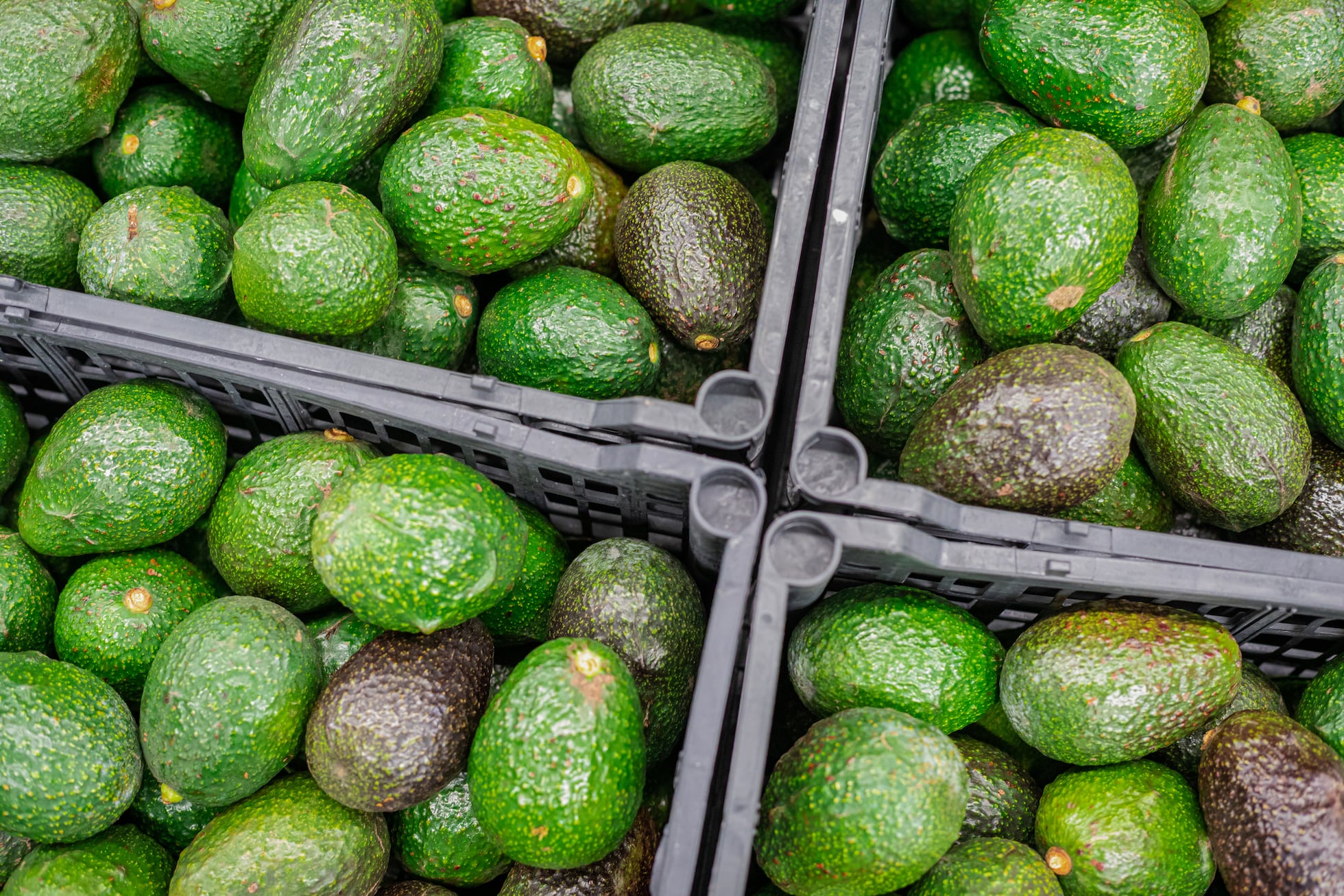 Apapacho, tianguis, guacamole y otras palabras en náhuatl que se usan a ...