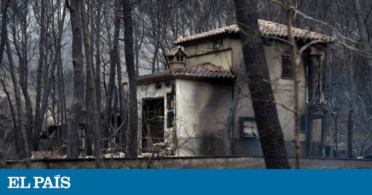 Summer in Spain: Wildfire in Valencia under control, but many still ...