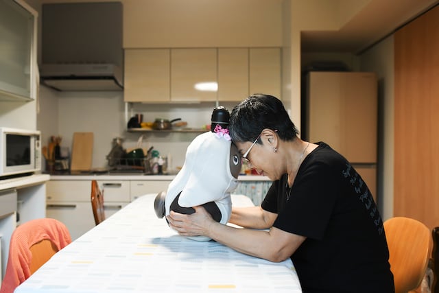 My robot and I: Japanese stories of technology and old age | Technology ...