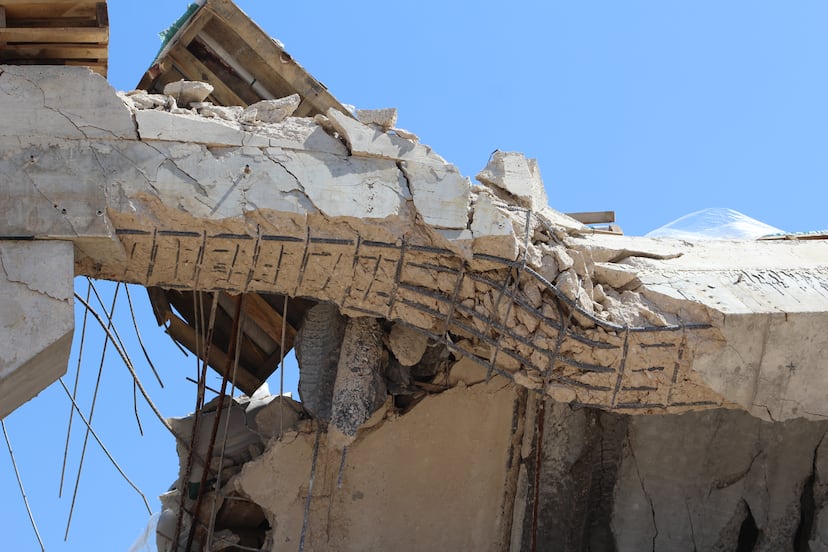 Lizard defense strategy inspires system for collapse-proof buildings ...