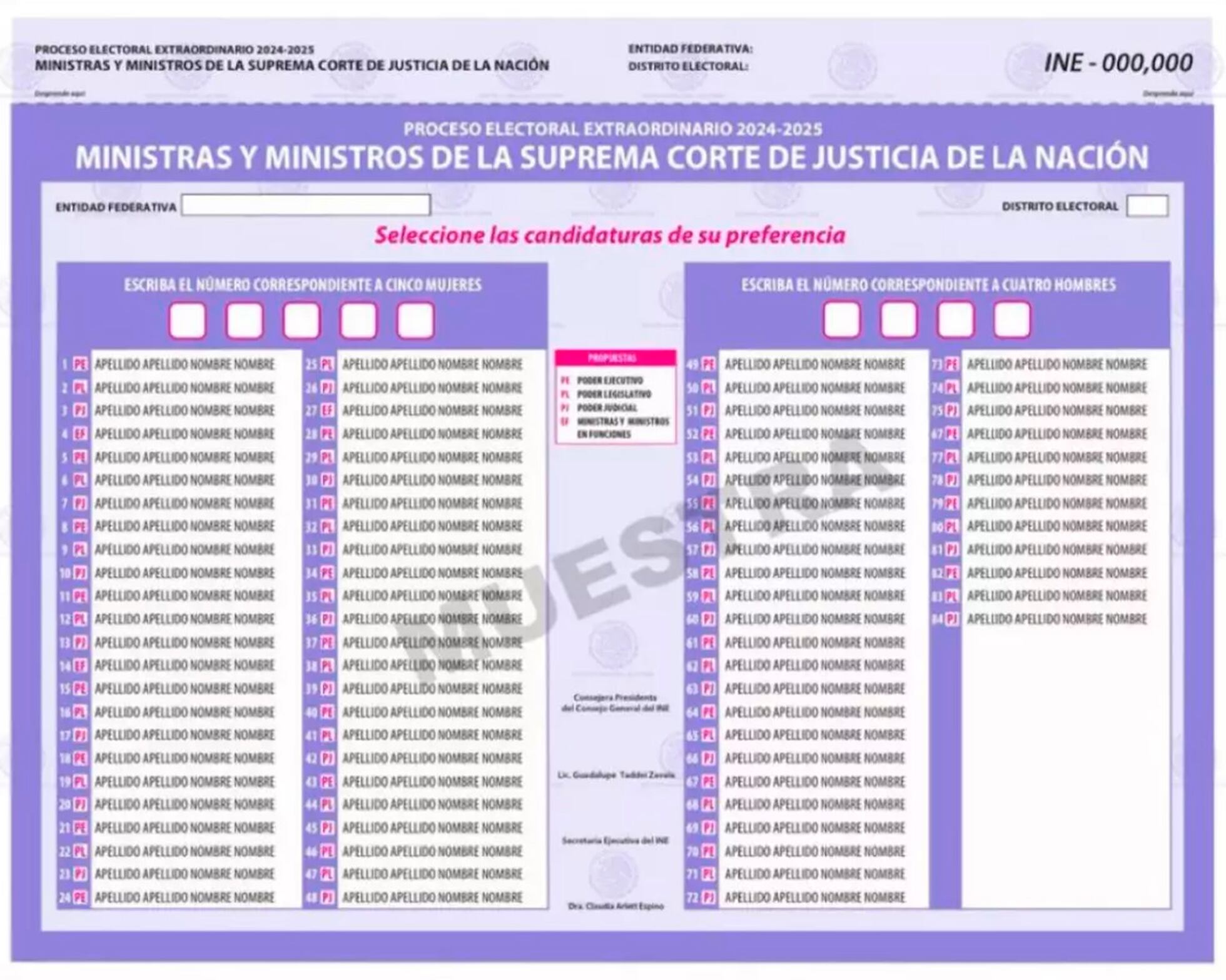 Elección judicial: así serán las boletas del INE para votar por jueces ...