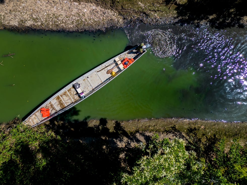 El caso de los ‘Iguana Papers’: el documental de la BBC que señala a Ecopetrol de contaminación ...