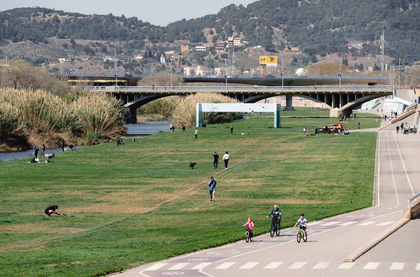 El renacer del río más contaminado de Barcelona lo llena de vida ...