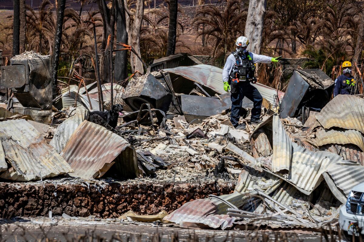 Maui has released the names of 388 people still missing after deadly ...