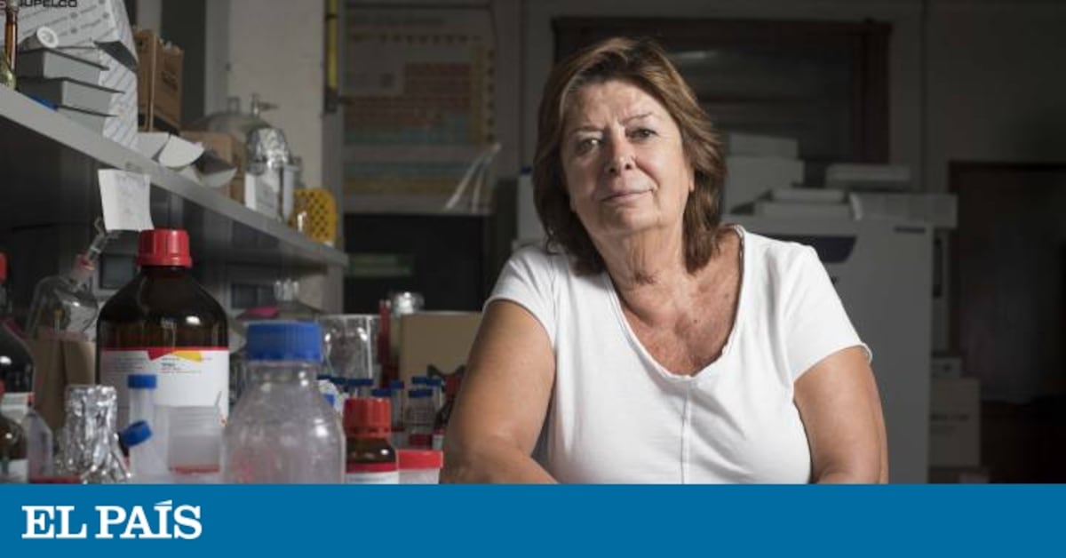 María Vallet: “El 60% de los profesores no investiga: da clases y ya ...