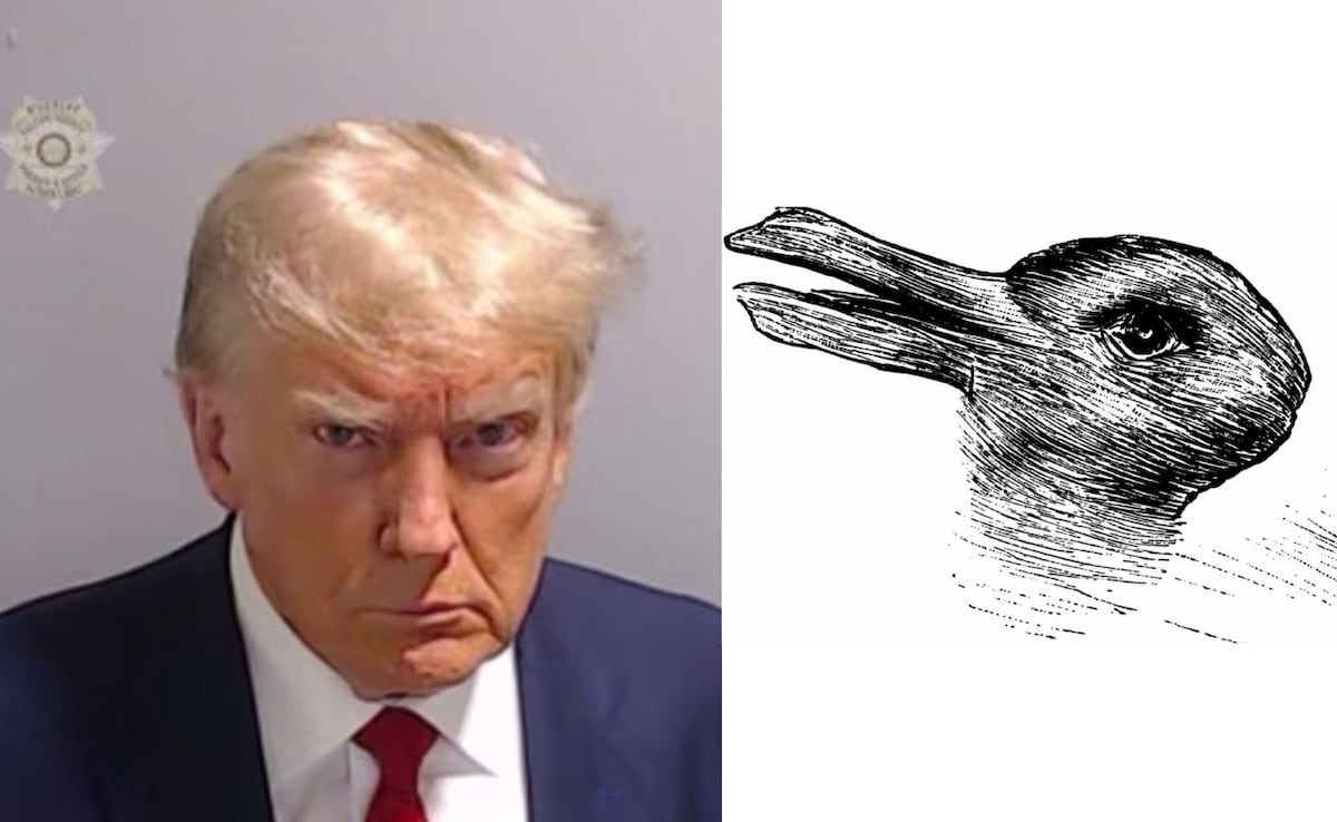 Jaime Rubio Hancock: ¿Es un pato? ¿Es un conejo? ¡No, es Donald Trump ...