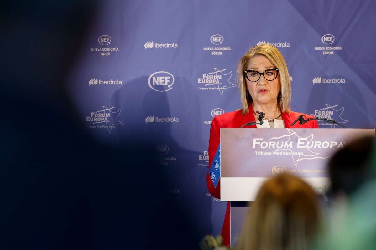 La eurodiputada socialista Inmaculada Rodríguez-Piñero se retira de la ...