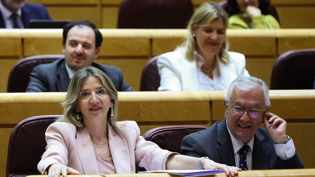 La Amnistía En El Laberinto Parlamentario Opinión El PaÍs