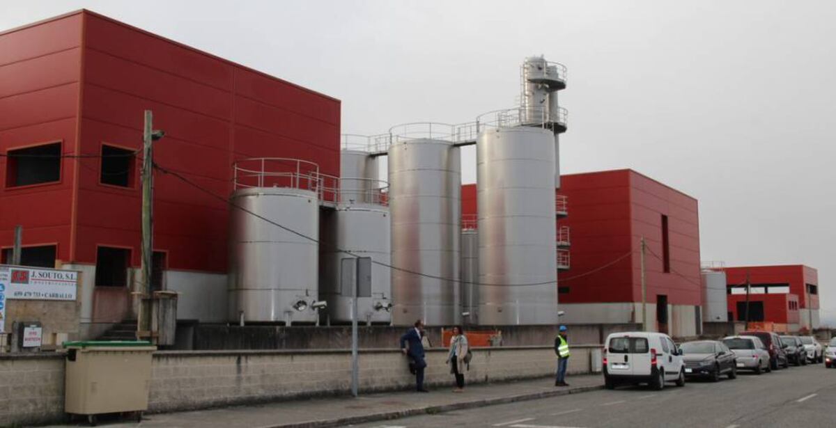 IFFE Biotech apuesta en España por el omega-3: del desperdicio de ...