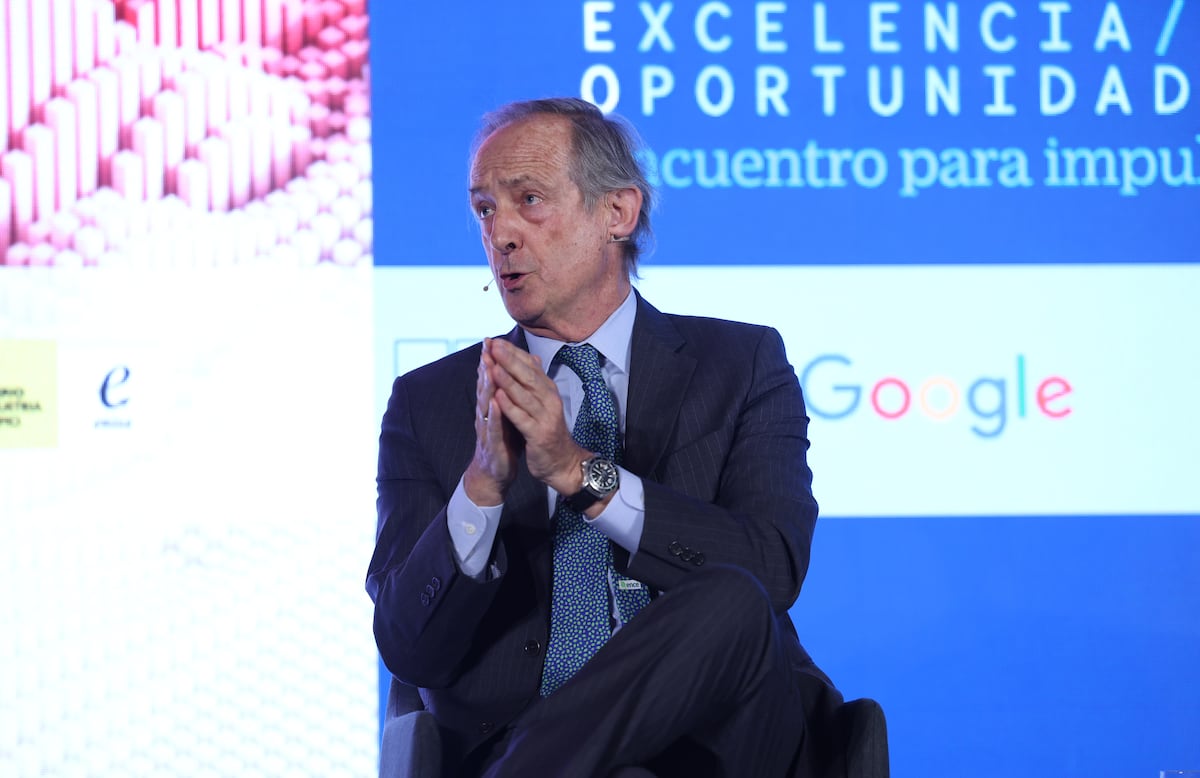 Ence sale de pérdidas y gana 32 millones de euros en 2024 | Empresas ...