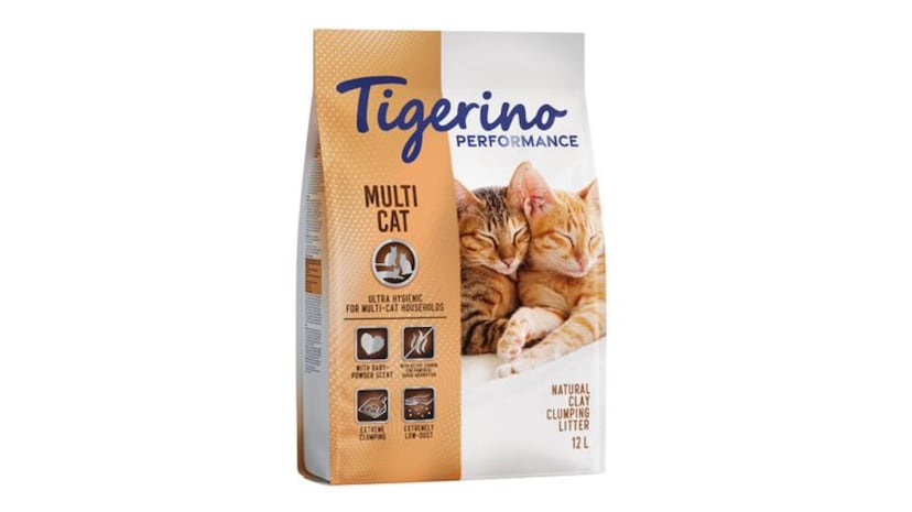 Las diez mejores arenas para gatos según cada necesidad | Estilo de ...