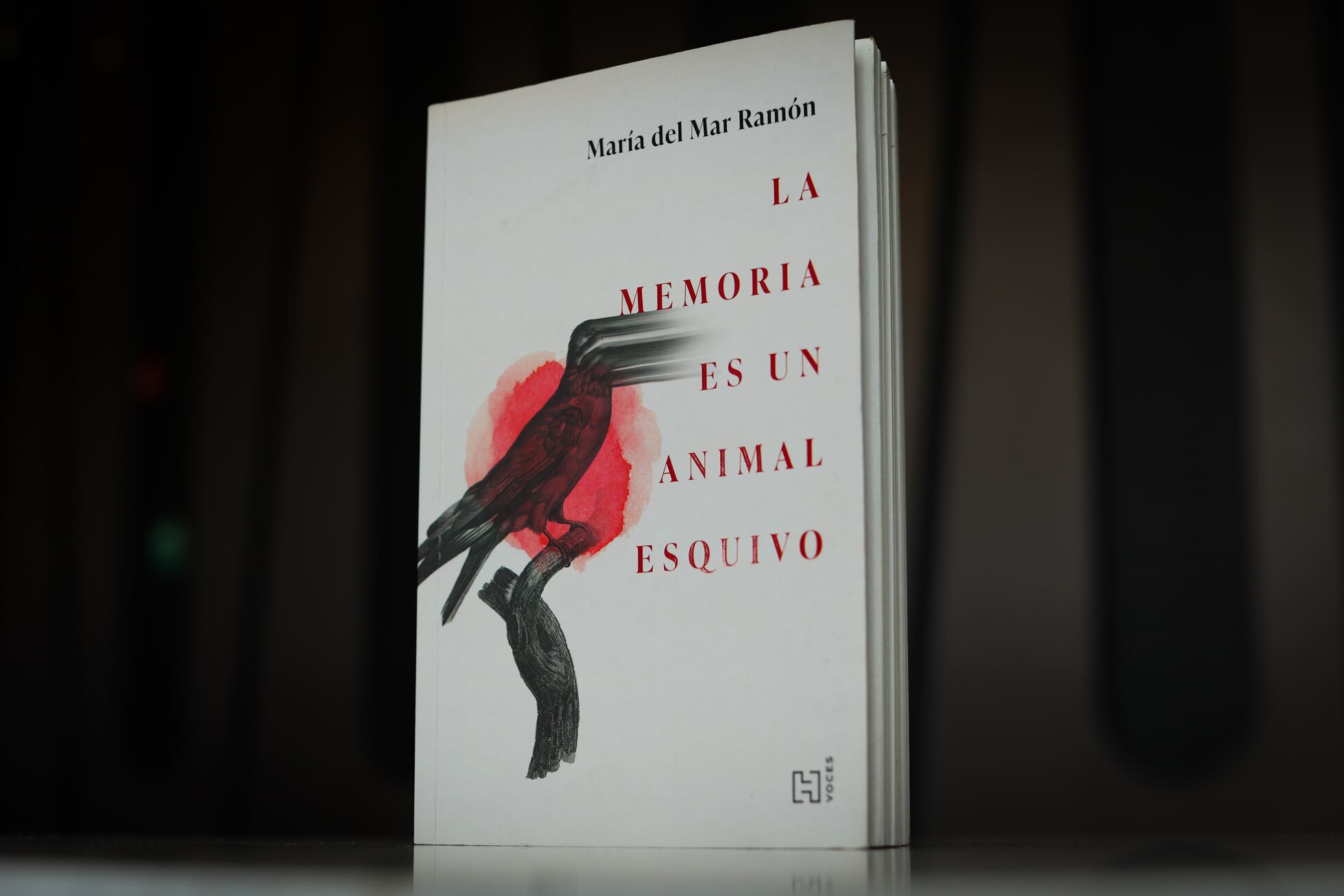 María del Mar Ramón, escritora: “Nuestros recuerdos son una ficción ...