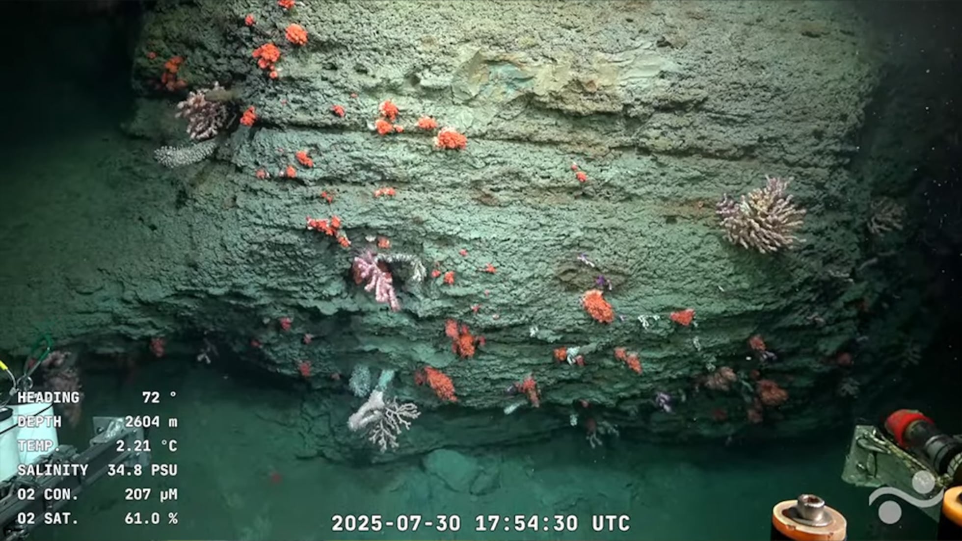 La expedición submarina argentina que se ha hecho viral con sus ...