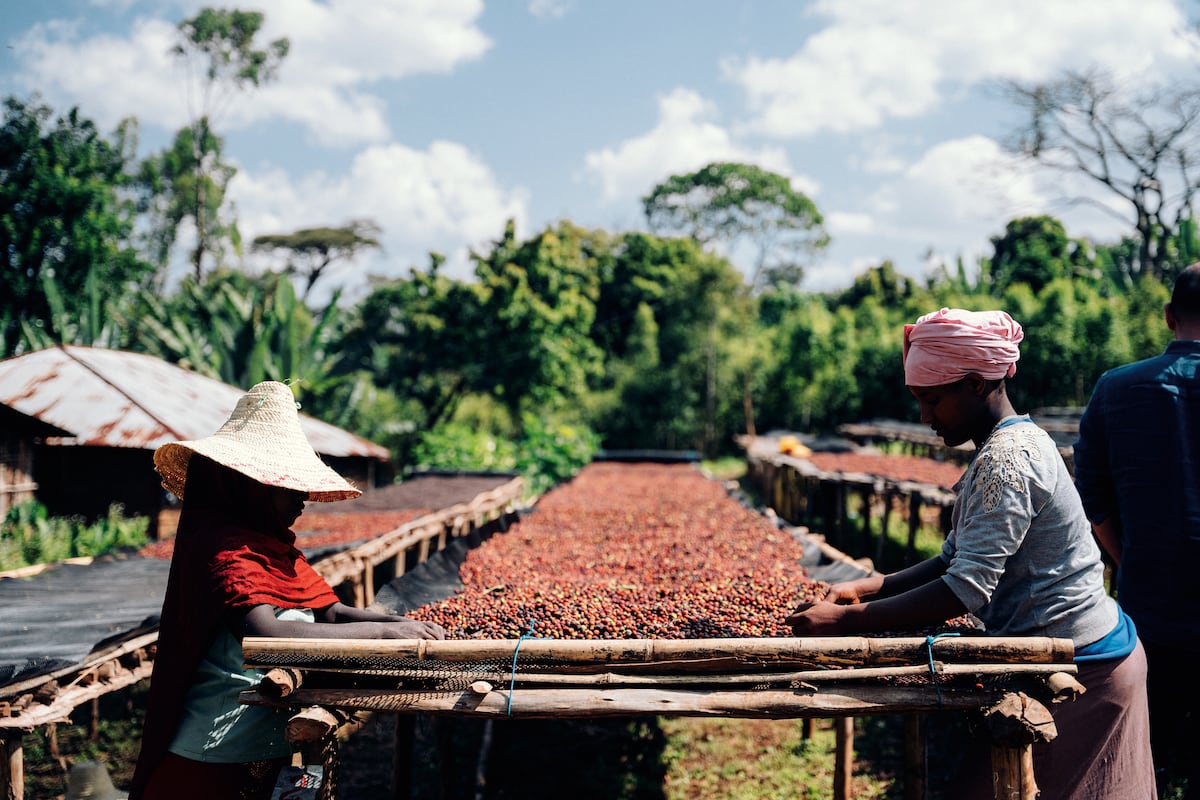 Andeemind2 porn i spotted a little slice of heaven the