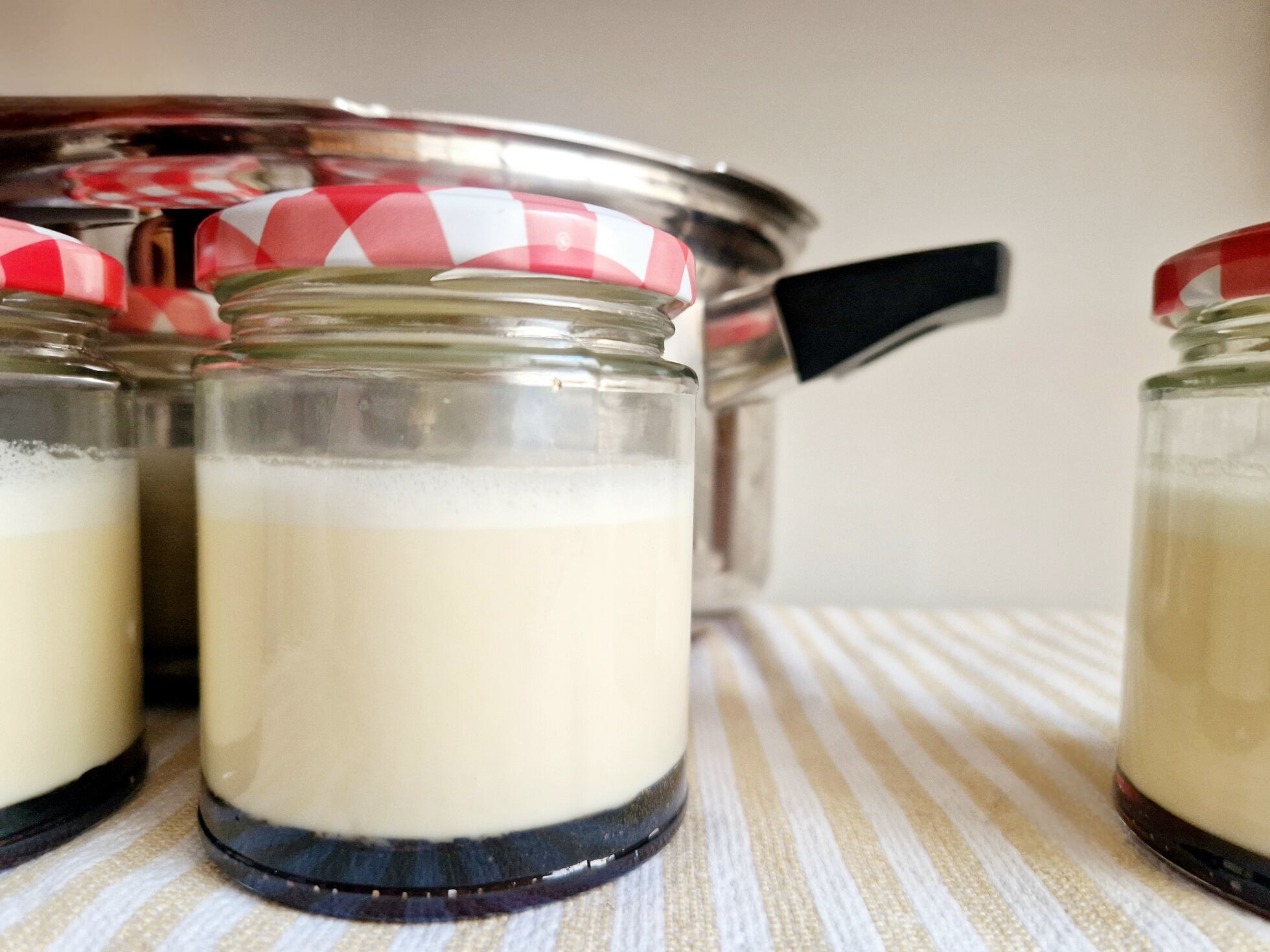 Olla rápida: historia de un invento genial y seis recetas que van más ...