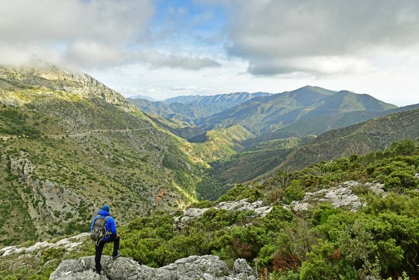 Málaga: La Sierra de las Nieves se convierte en el decimosexto parque ...