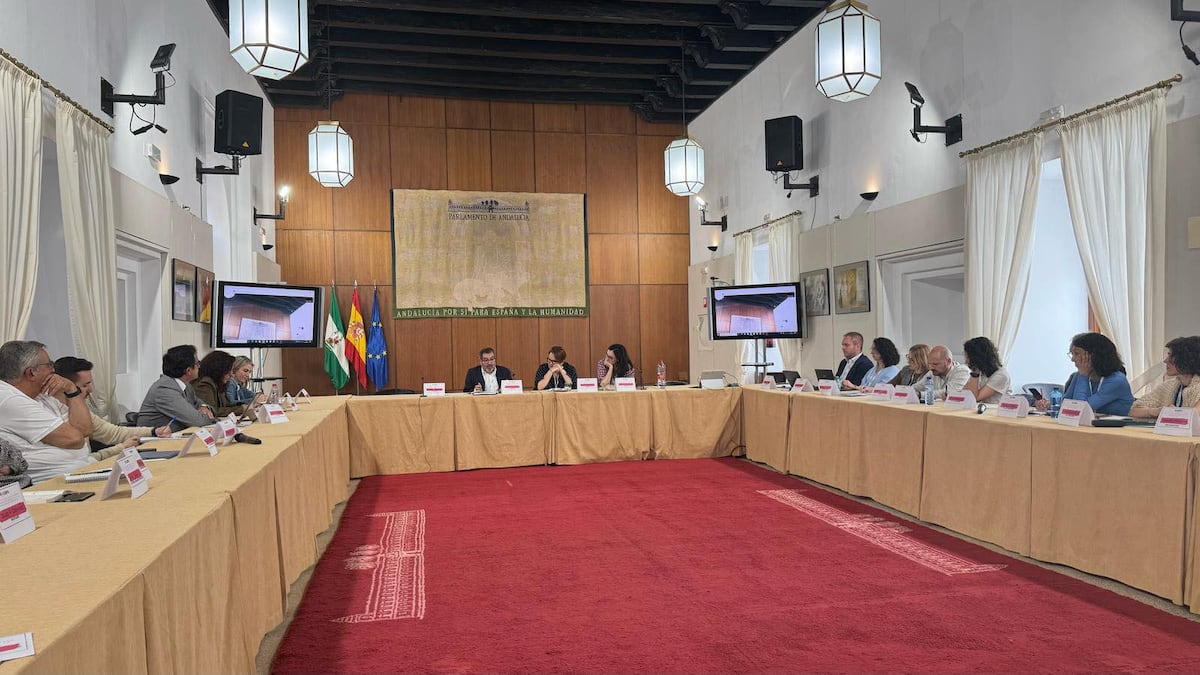 La atención a la diversidad concita el consenso entre todas las ...