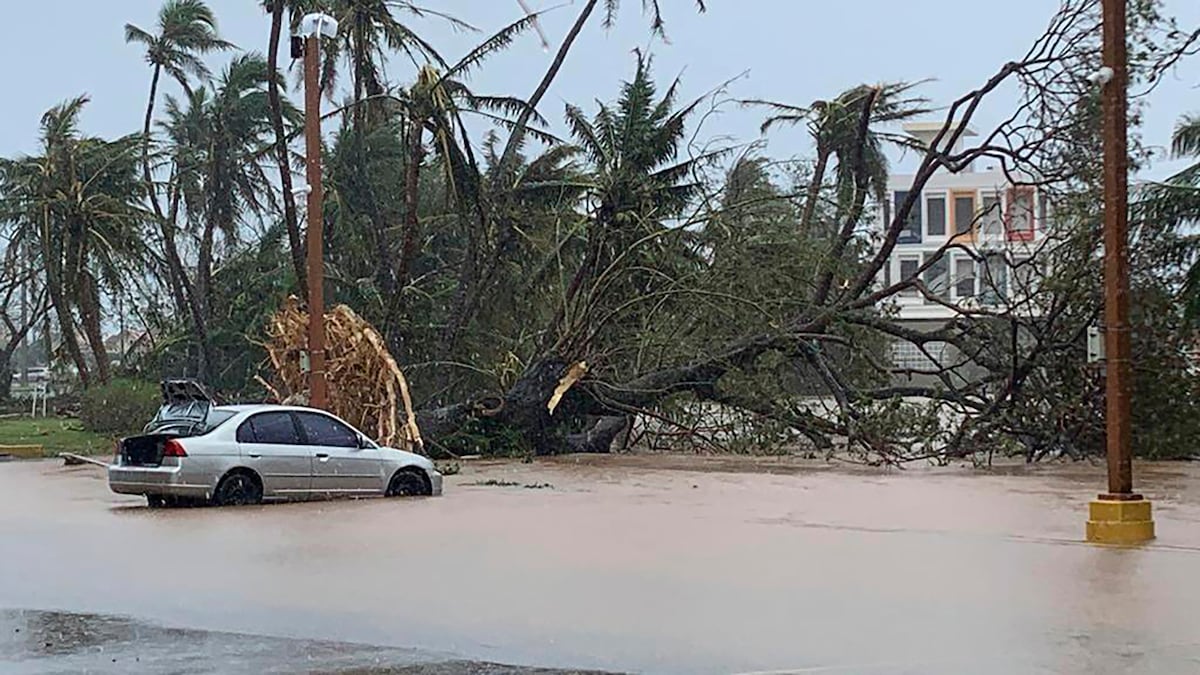 Typhoon Mawar batters Guam: ‘What used to be a jungle looks like ...