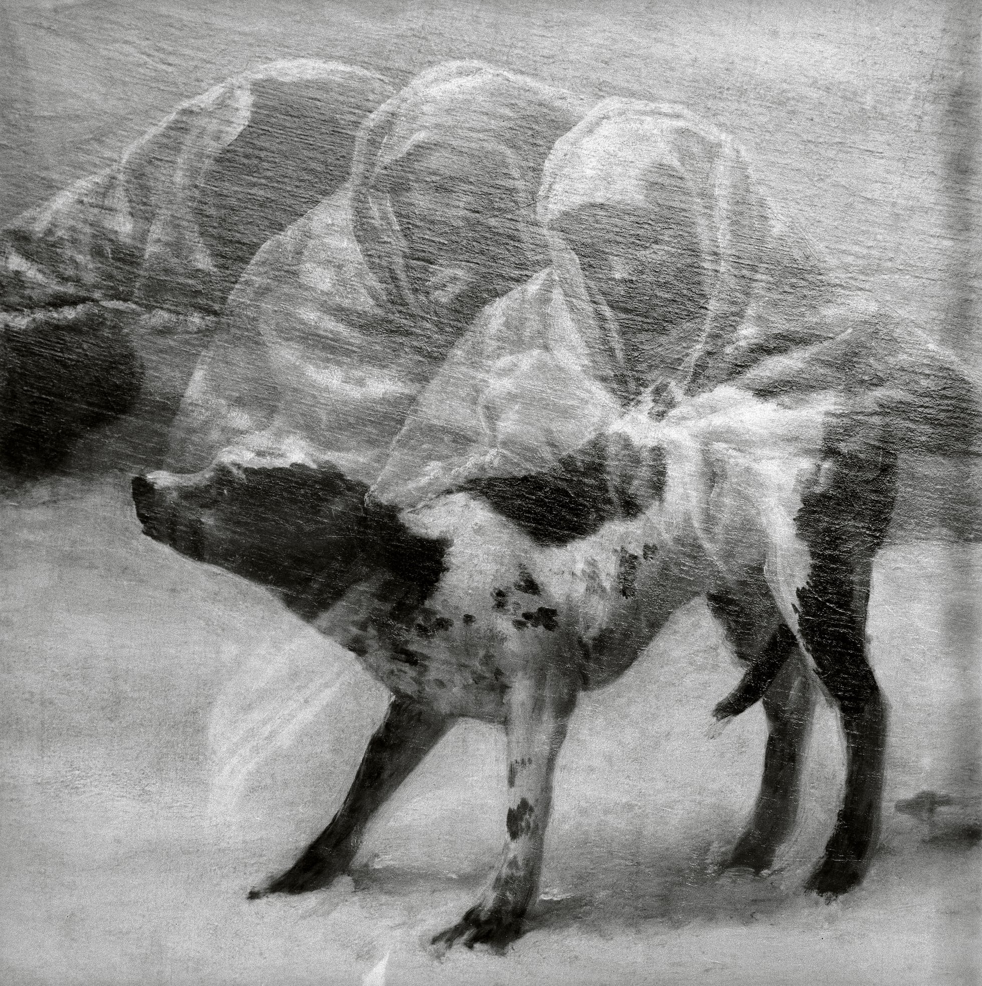 ‘Fantasías en el Prado’, por Alberto García-Alix | EL PAÍS Semanal | EL ...