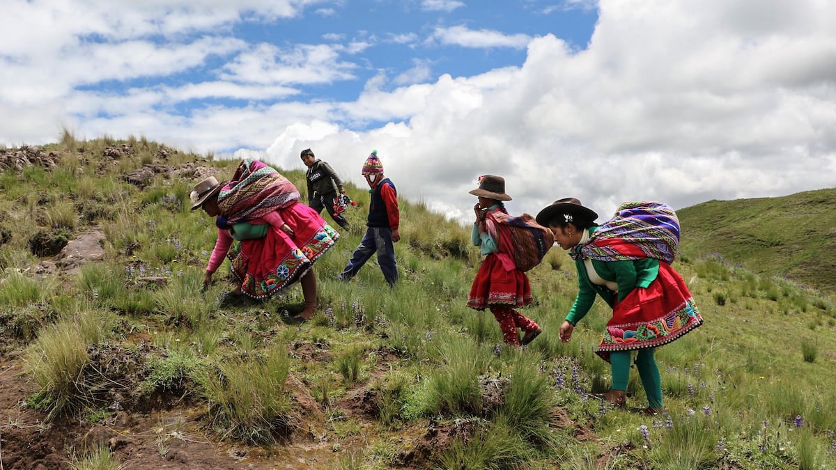 El quechua renace en Perú | Sociedad | EL PAÍS